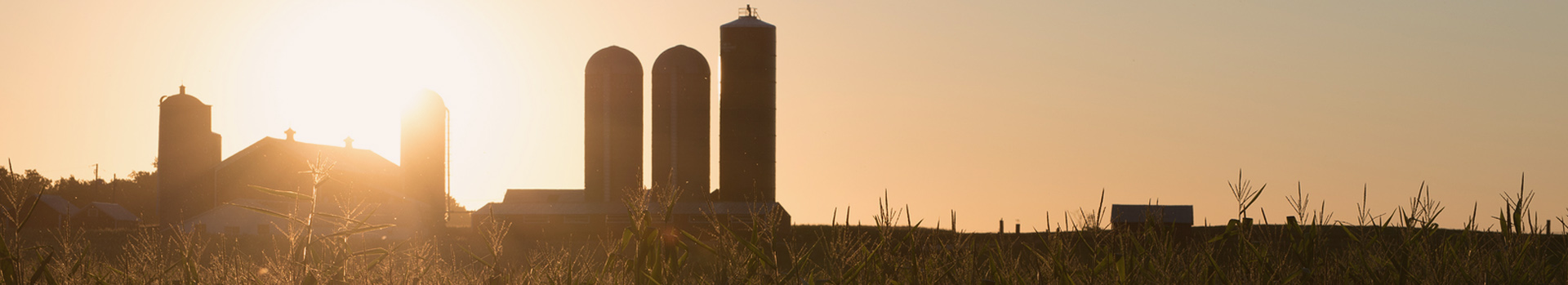 About Us | Case Farms Chicken | Case Farms